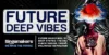 Loopmasters released Future Deep Vibes